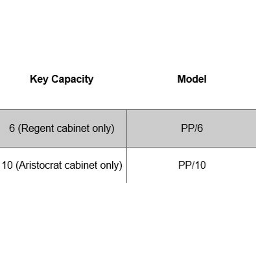 Telkee Prison Panel – Key Box Solutions